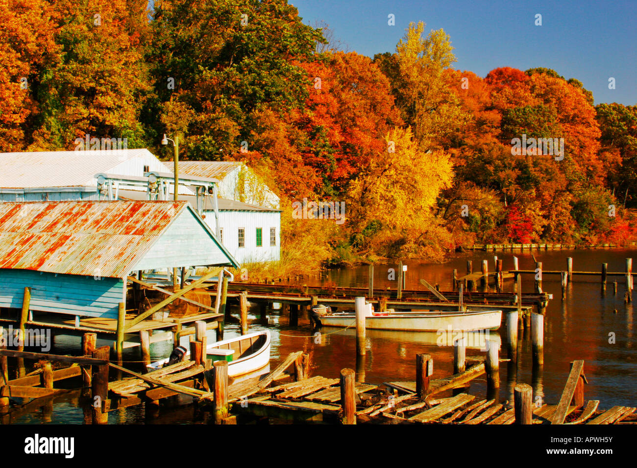 Foliage united states of america water wharf historic history boat hi ...