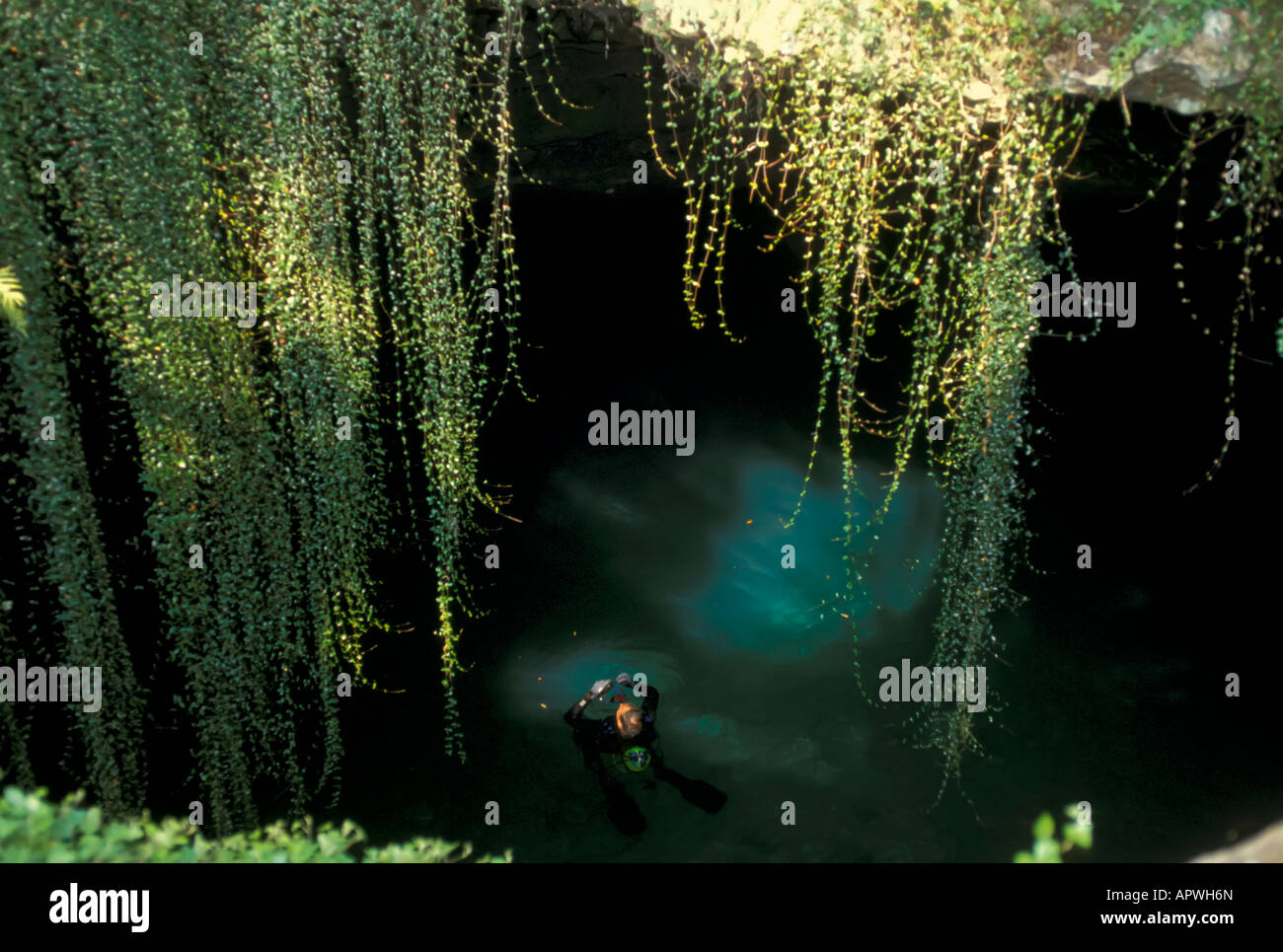 Devil’s den spring florida hi-res stock photography and images - Alamy