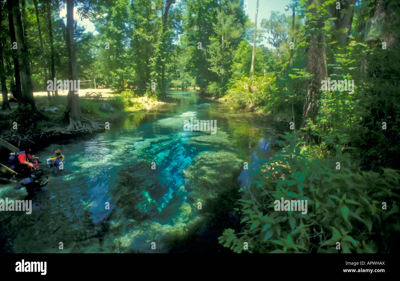 Ginnie Springs Florida fresh water spring run sport scuba diving High ...