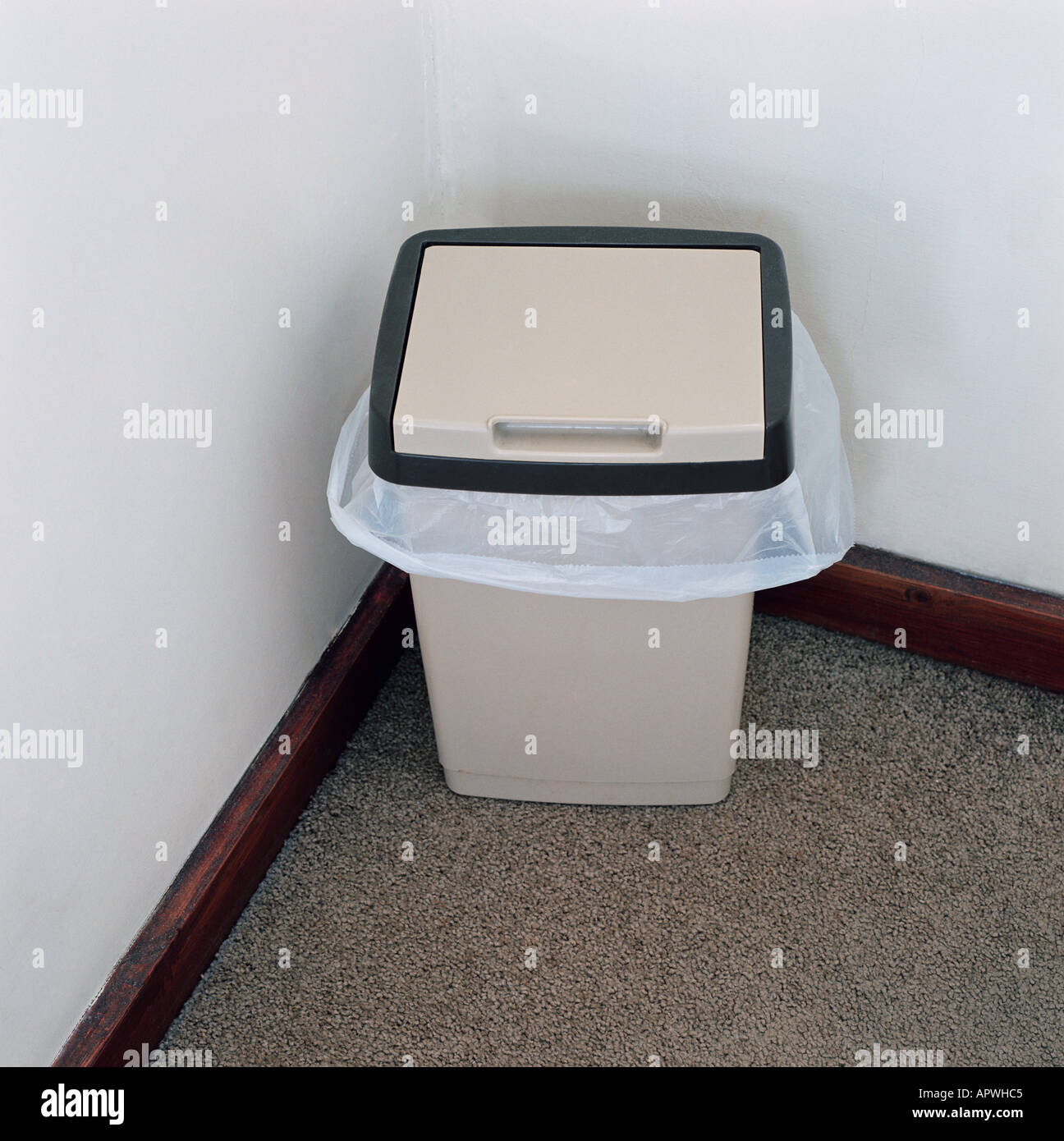 Plastic rubbish bin Stock Photo - Alamy