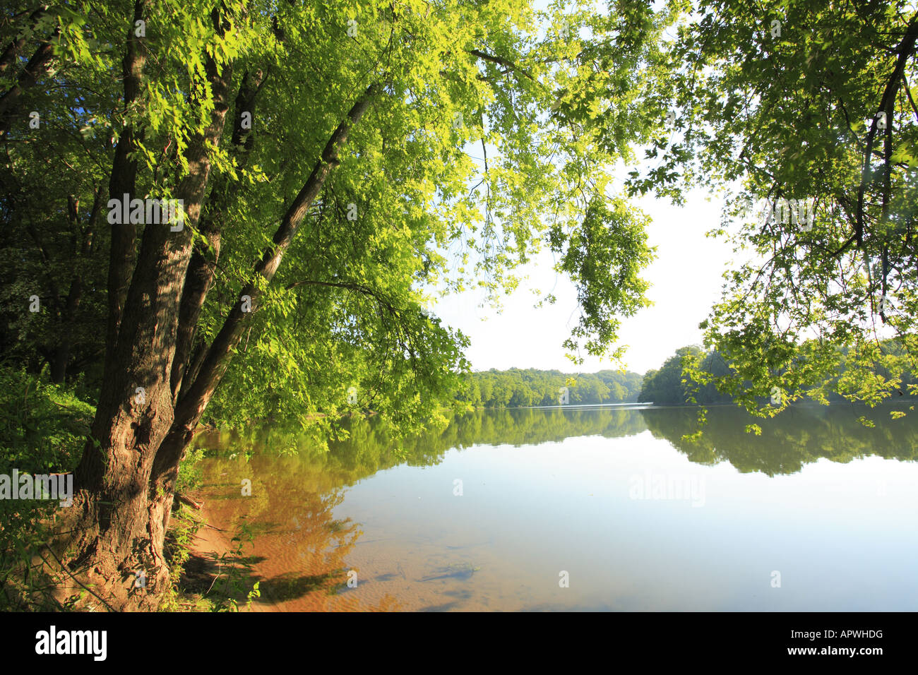 Potomac River at Four Locks, C and O Canal National Historic Park, Big ...
