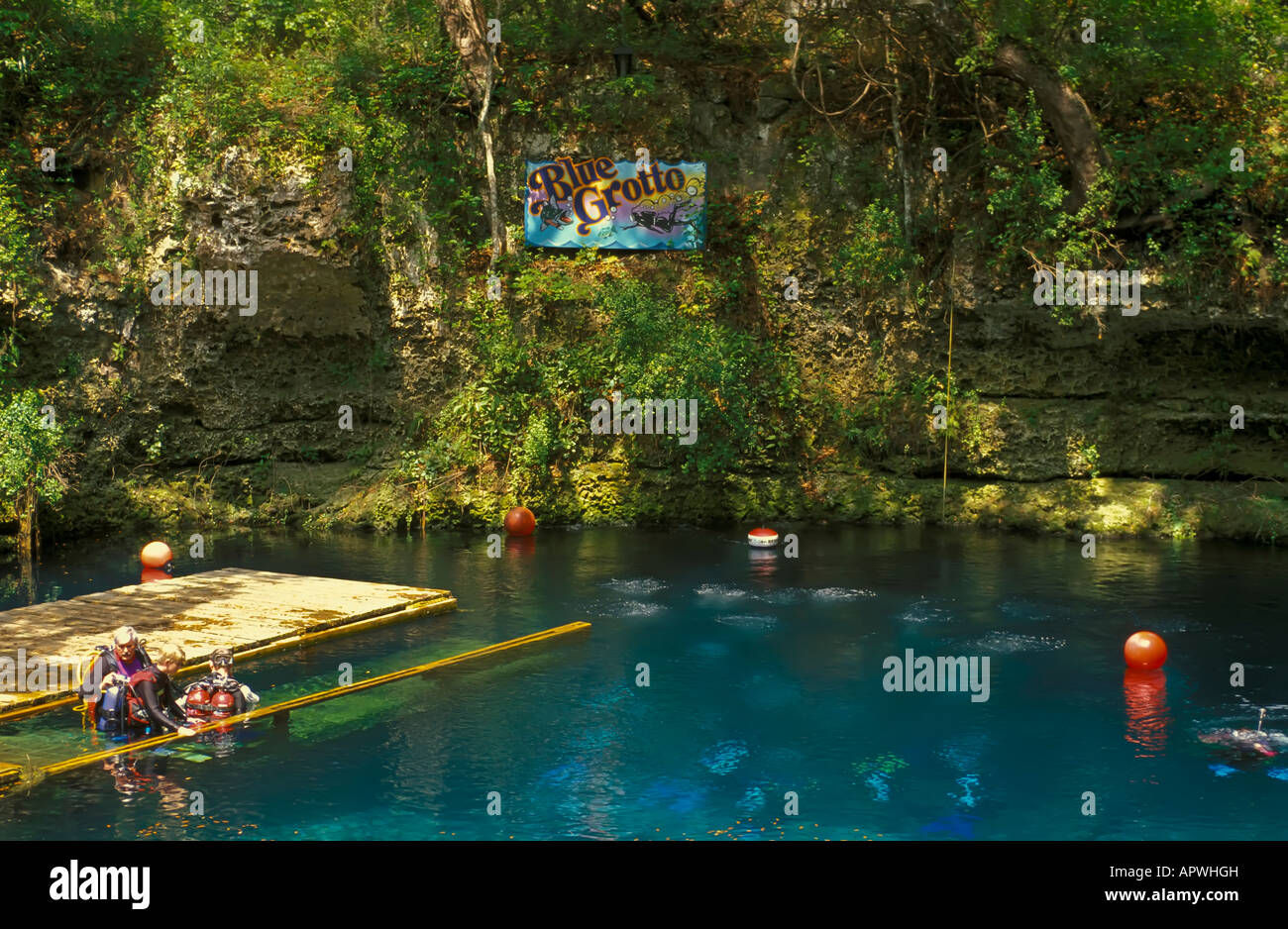 scuba divers on platform at blue grotto spring, Florida fresh water ...