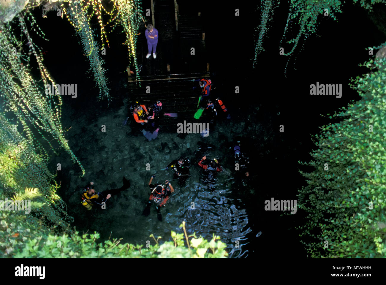 sport divers standing underground in open Florida cavern fresh water ...