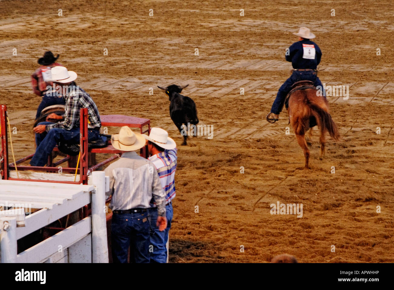 Cowboy rodeo cowtown new hi-res stock photography and images - Alamy