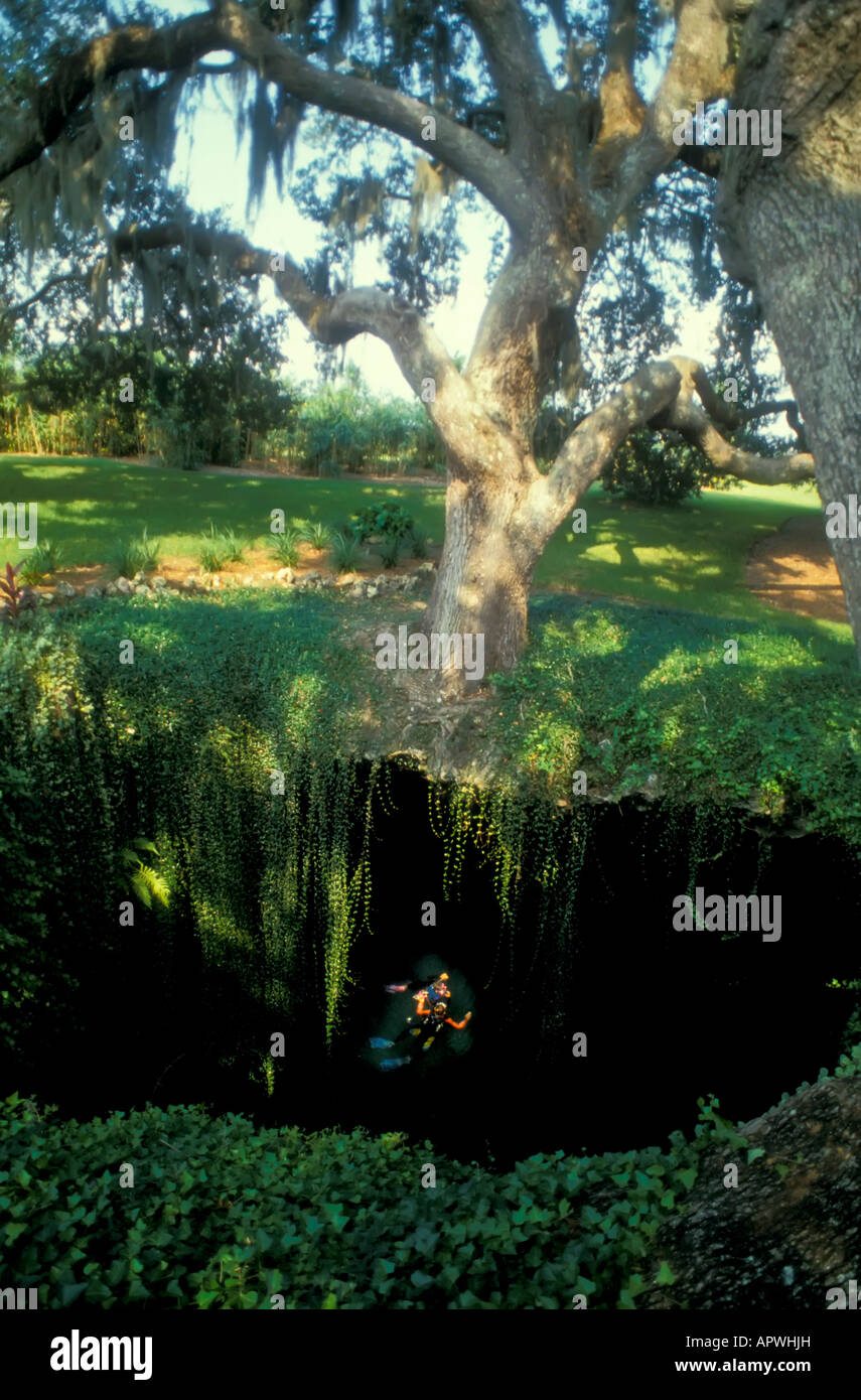 Devils Den collapsed cavern roof spring underground inside dry cave ...