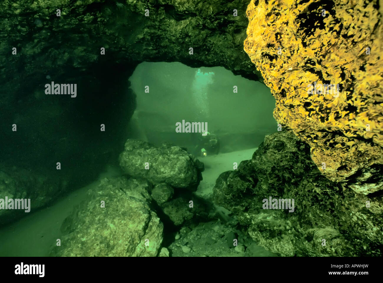 Florida cave cave diver underwater at cave mouth fresh water spring ...