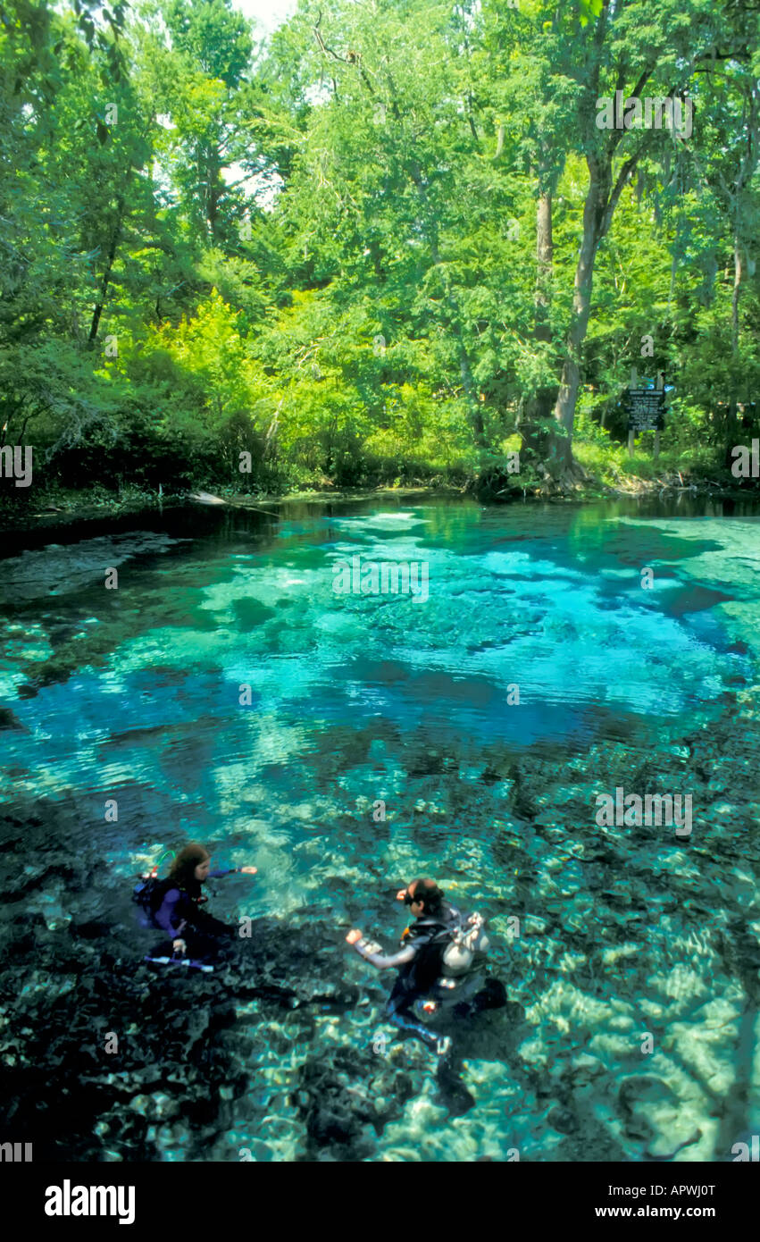 Ginnie Springs Florida fresh water spring run sport scuba diving High ...