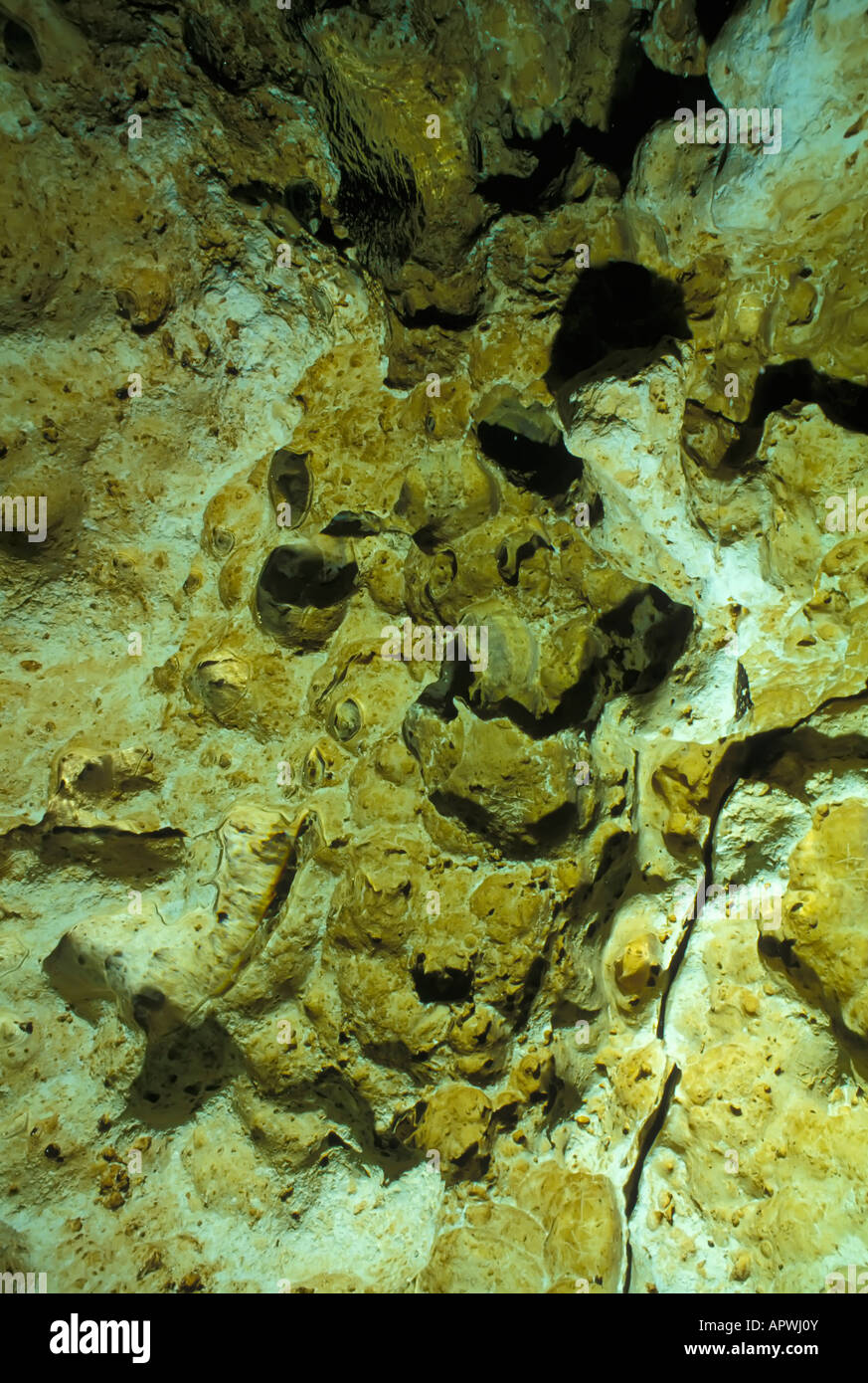 limestone cave rock underwater Florida fresh water spring diving Stock ...