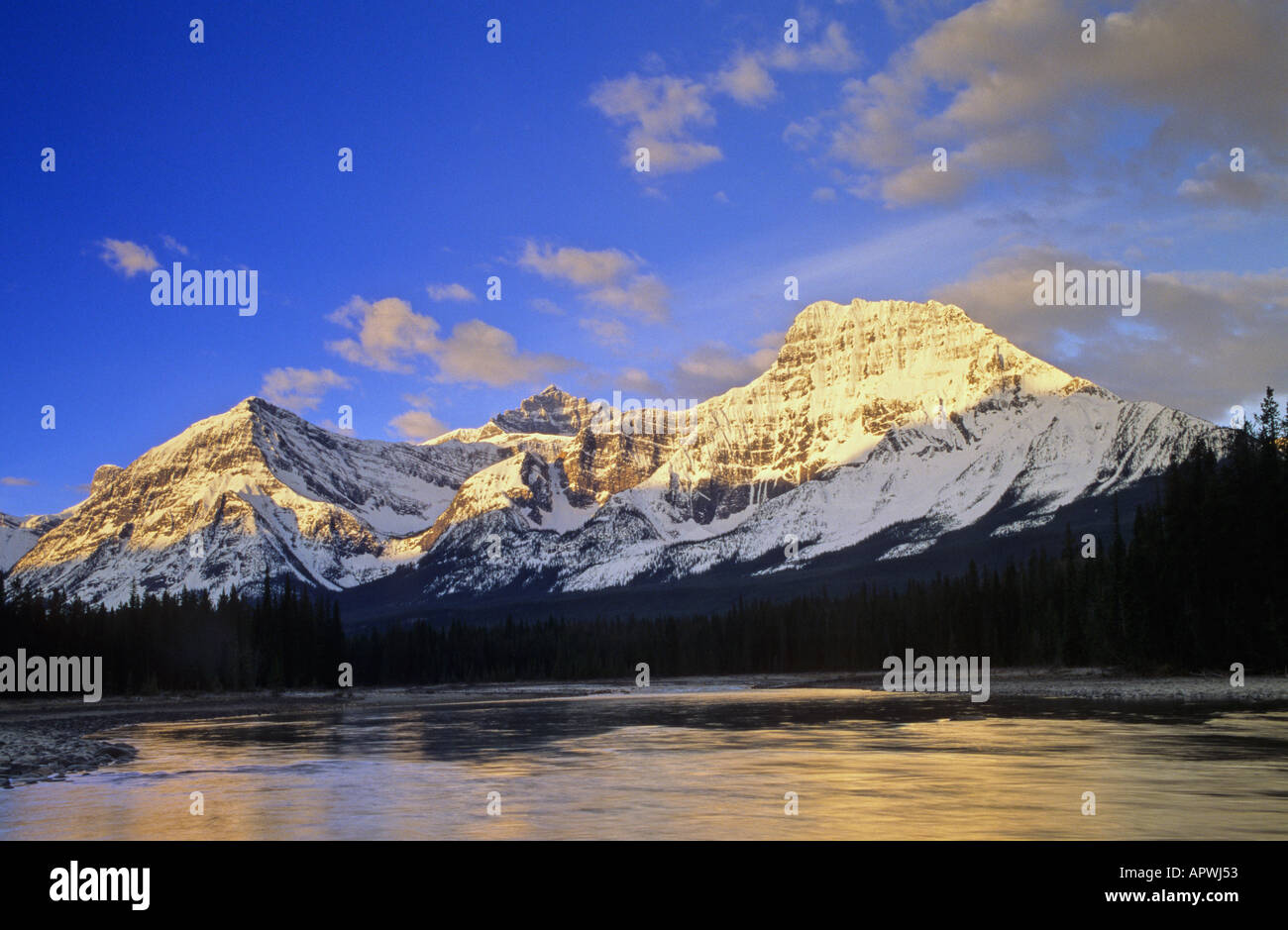 Mount fryatt and the athabasca river hi-res stock photography and ...
