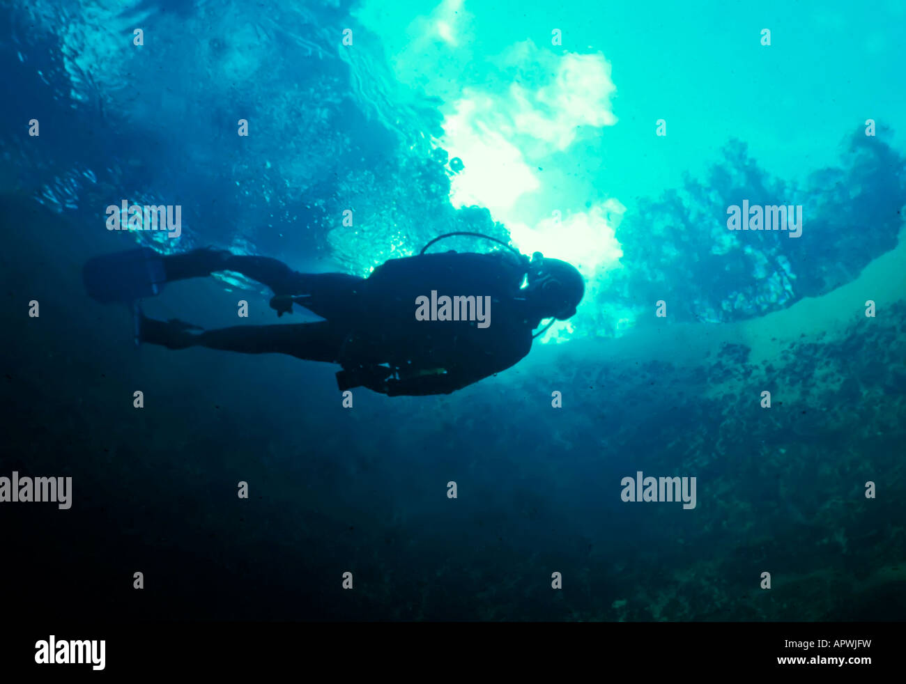 Florida fresh water spring diving Stock Photo - Alamy