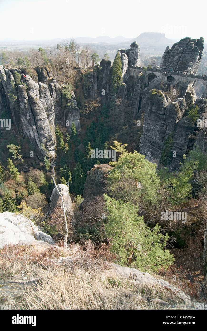 Bastei sandstone rocks Germany Saxony Stock Photo - Alamy
