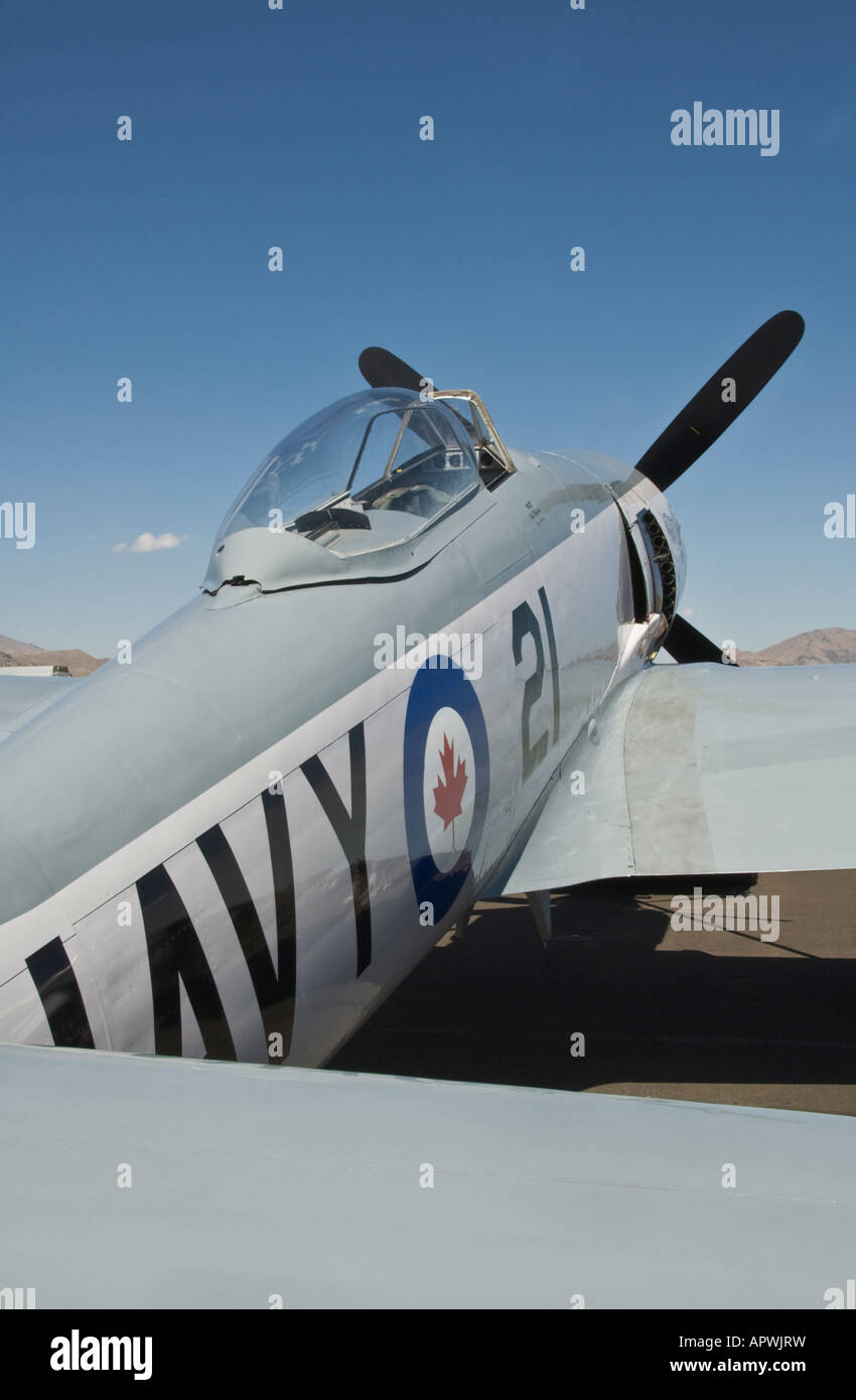 Nevada Reno Air Races Hawker Sea Fury in pits Stock Photo - Alamy