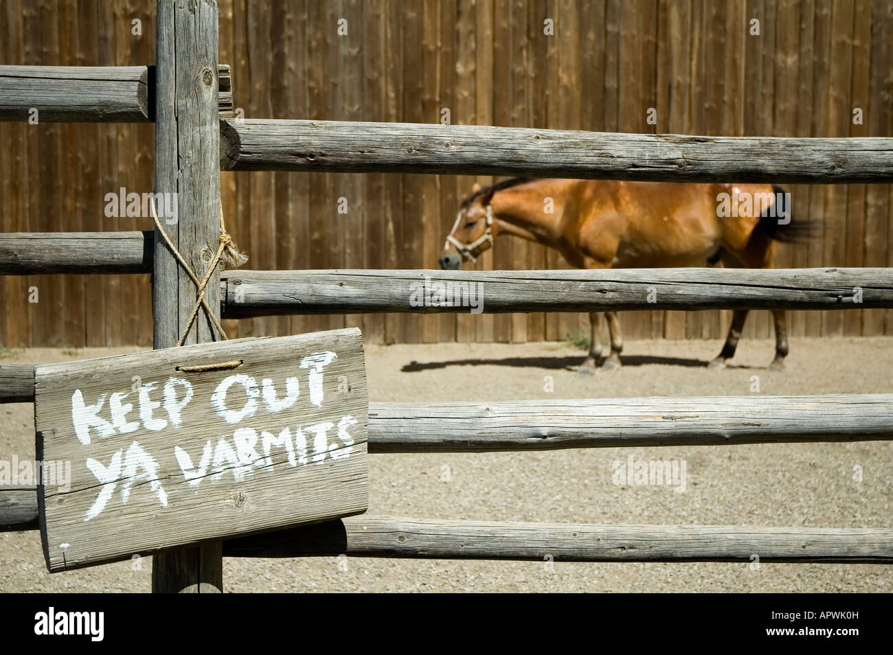 Corral horse sign hi-res stock photography and images - Alamy