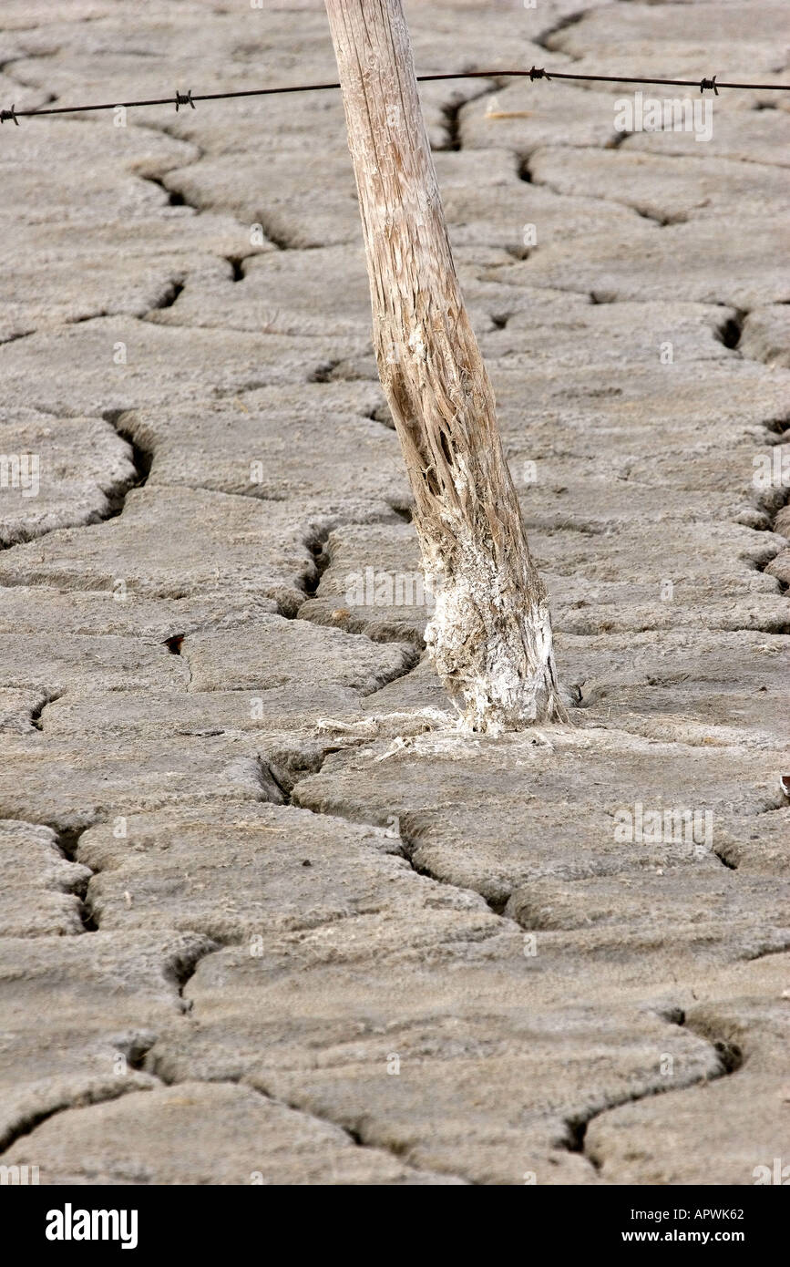 An old fence post in a dried up slough in scenic Southern Saskatchewan ...