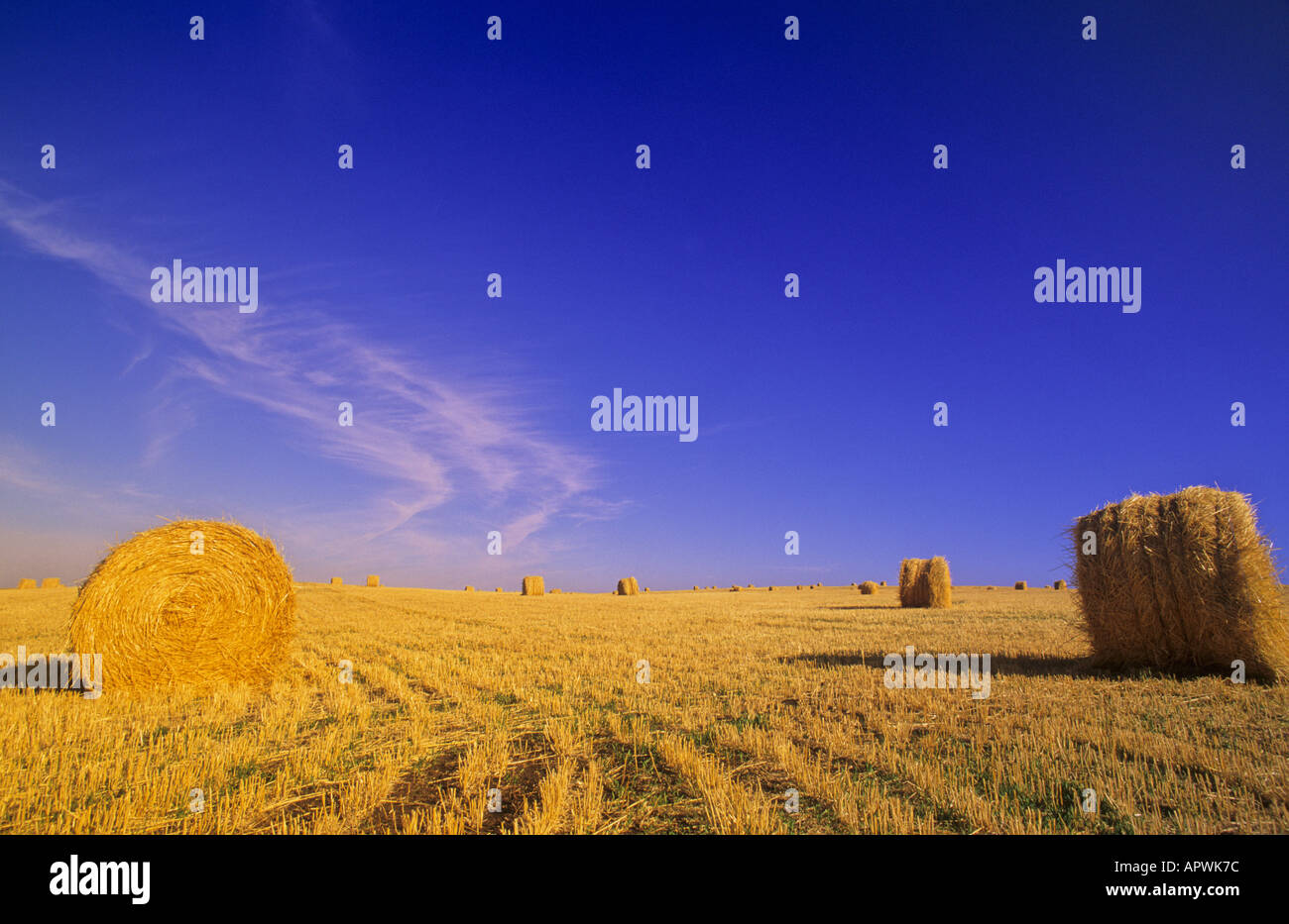 Hayfield canadian prairies canada hi-res stock photography and images ...