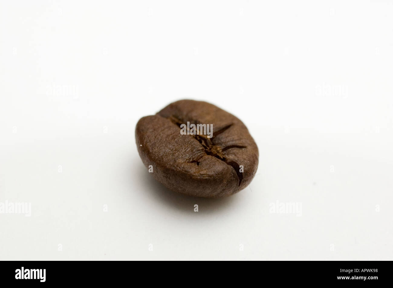 java bean on white background Stock Photo - Alamy