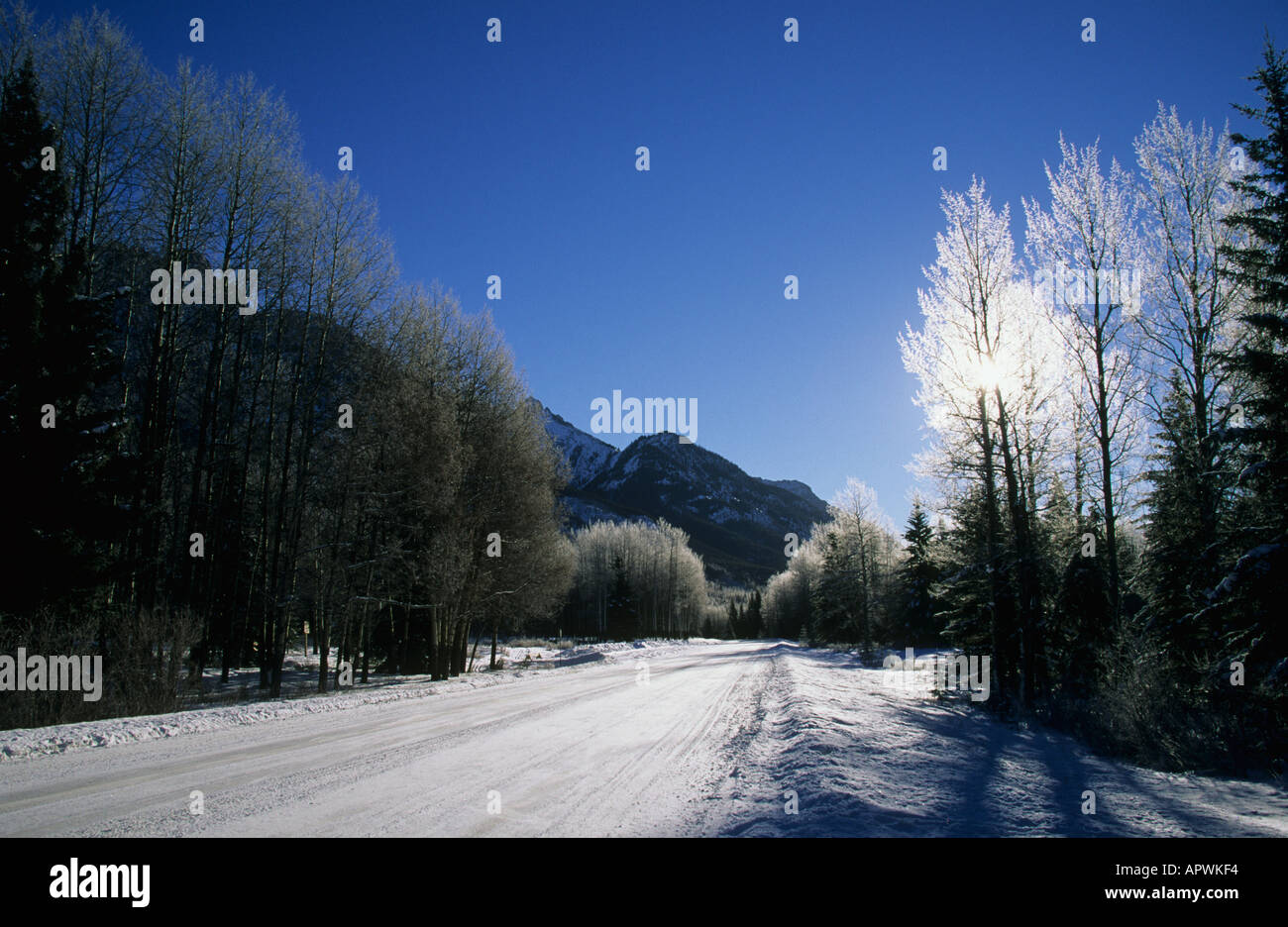 Highway 1a hi-res stock photography and images - Alamy