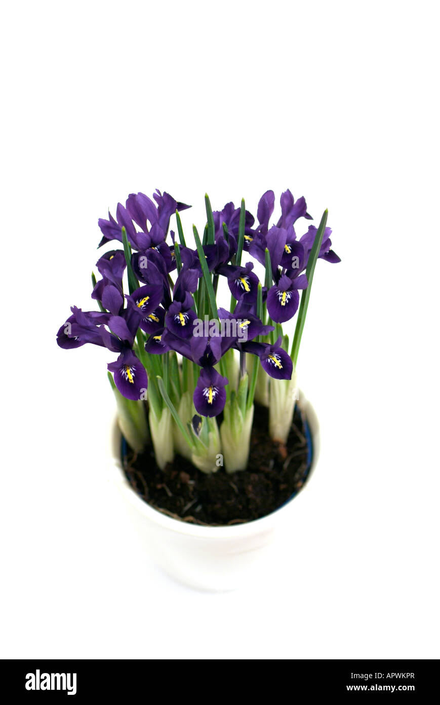 Looking down on graphic Cut Out Stock Images & Pictures - Alamy