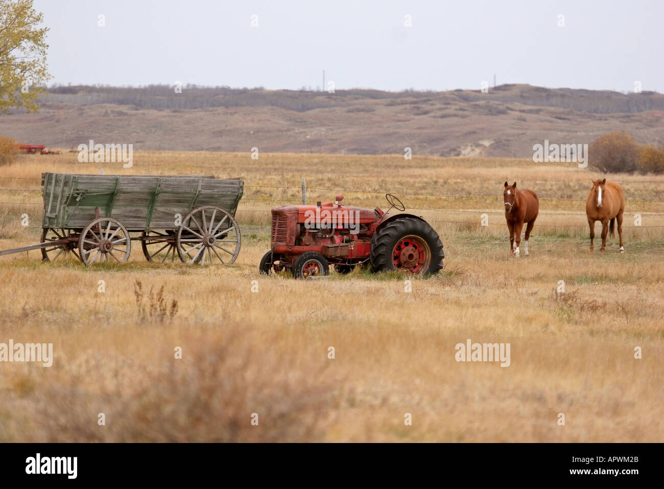 Old farm wagon hi-res stock photography and images - Alamy