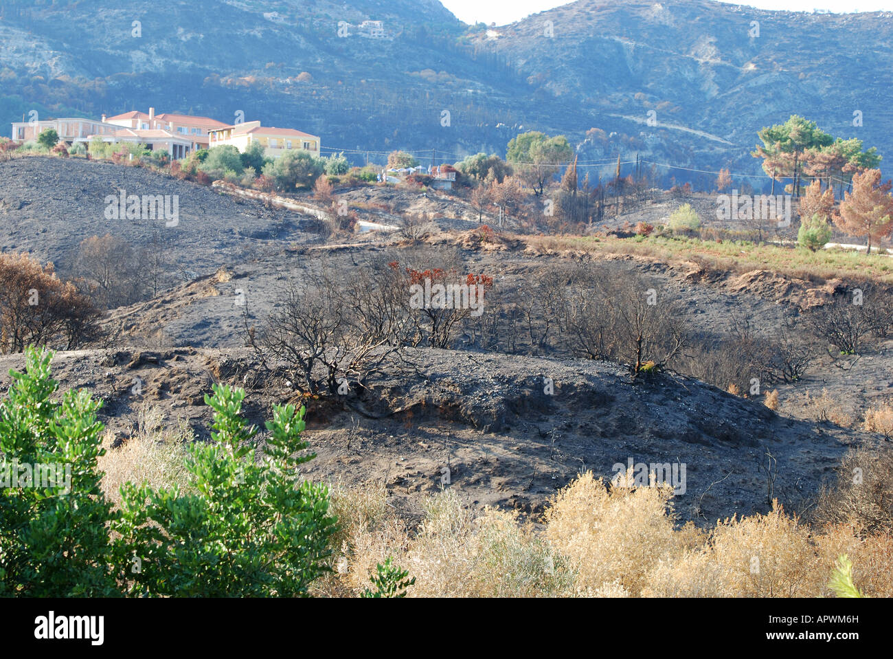 burnt out wasteland kephalonia number 2595 Stock Photo - Alamy