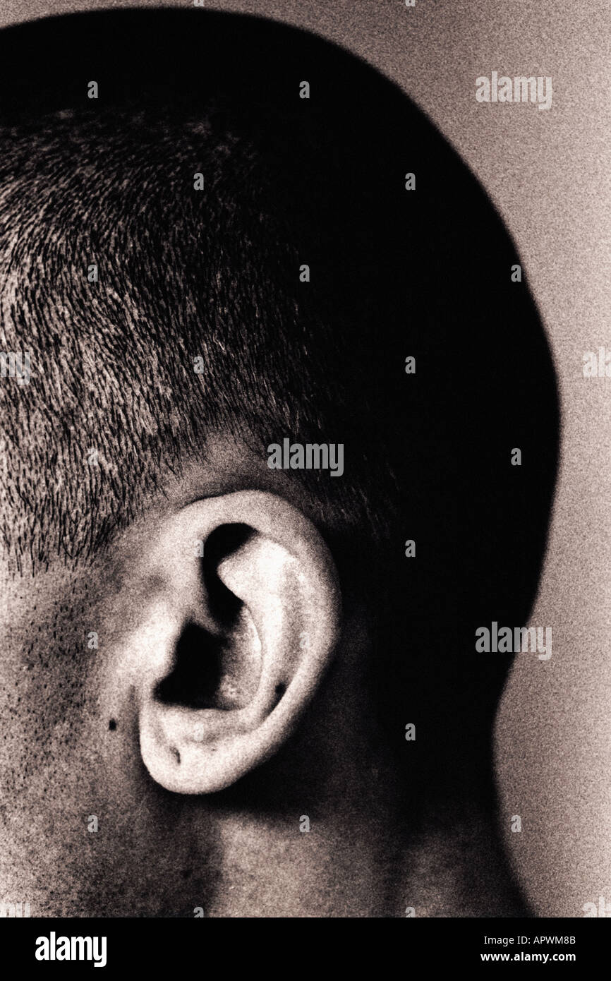 Close-up view of man's ear Stock Photo - Alamy