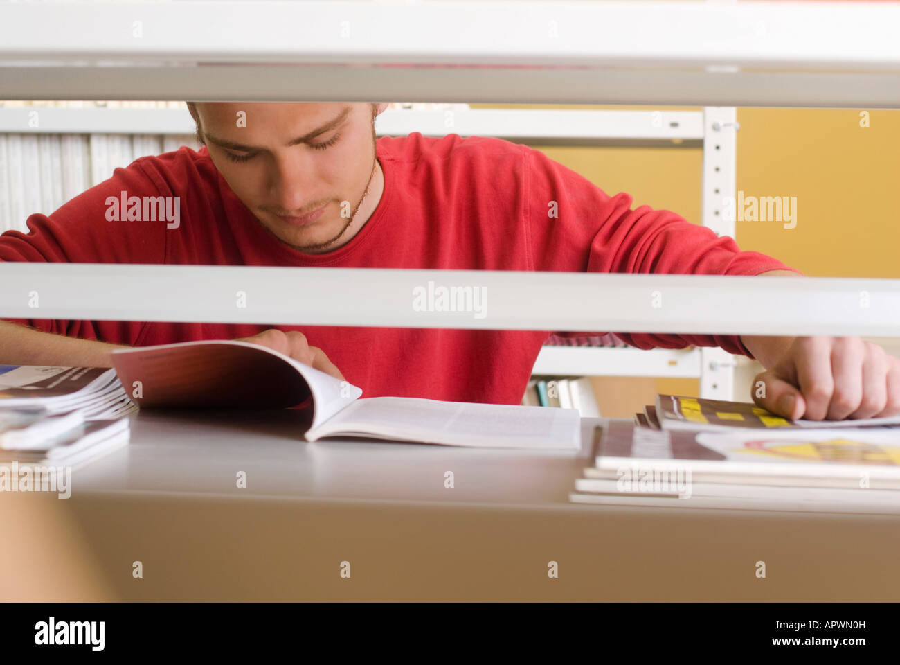 young male student reading textbook in school library Stock Photo - Alamy
