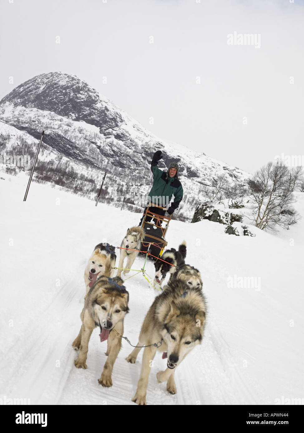 The man with a dog hi-res stock photography and images - Alamy