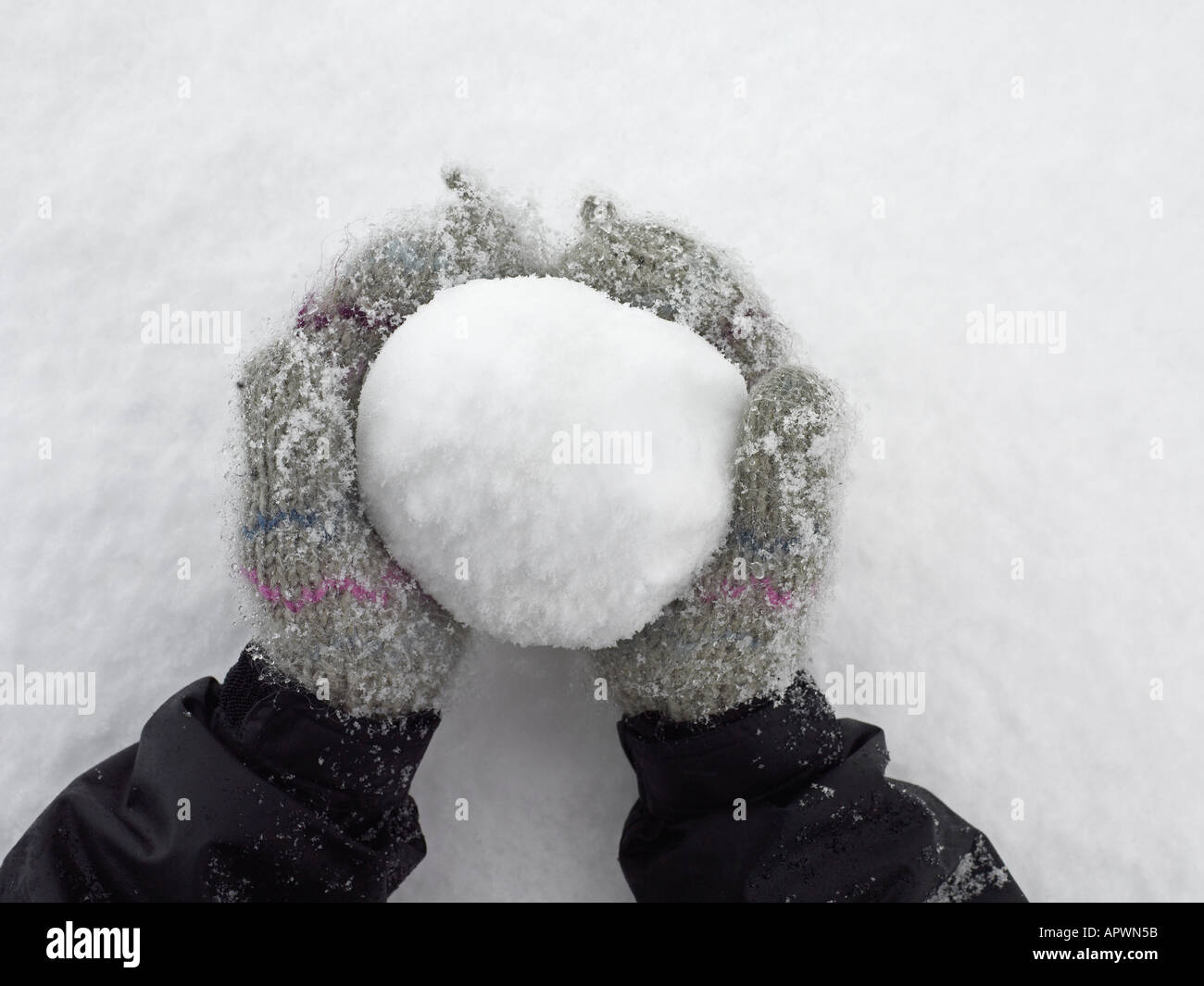 Hand holding a snowball hi-res stock photography and images - Alamy