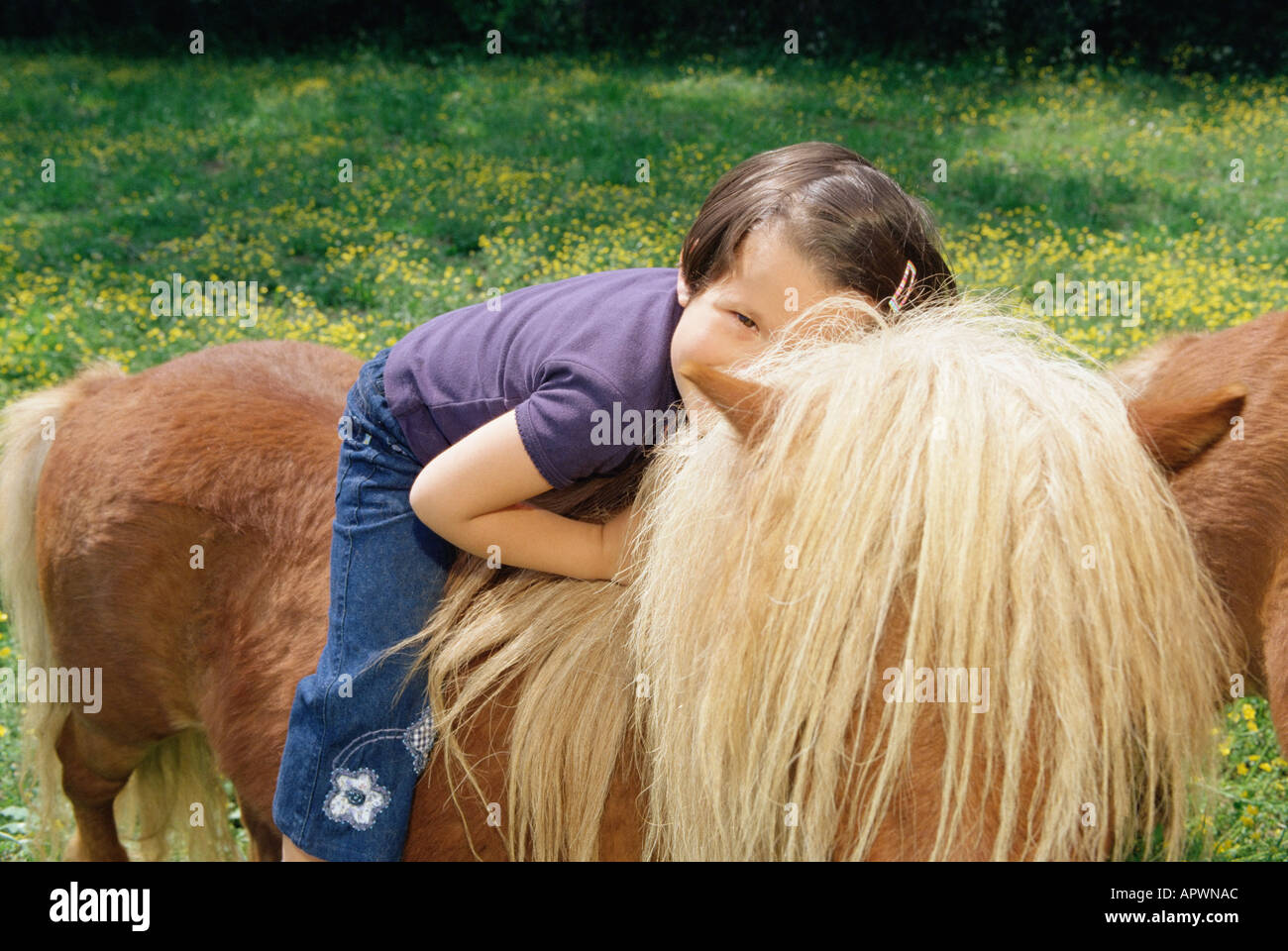 Girl sitting on a pony Stock Photo - Alamy