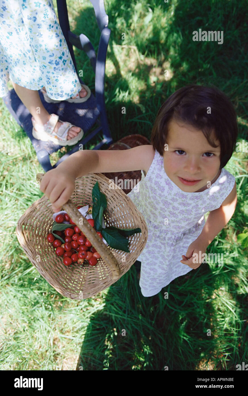 Girls picking berries Stock Photo - Alamy