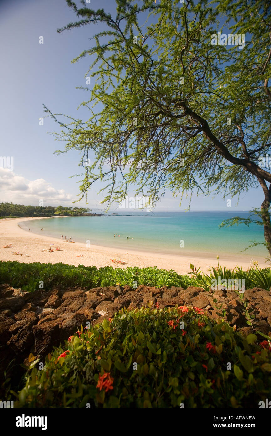 Kauna‘oa bay hi-res stock photography and images - Alamy