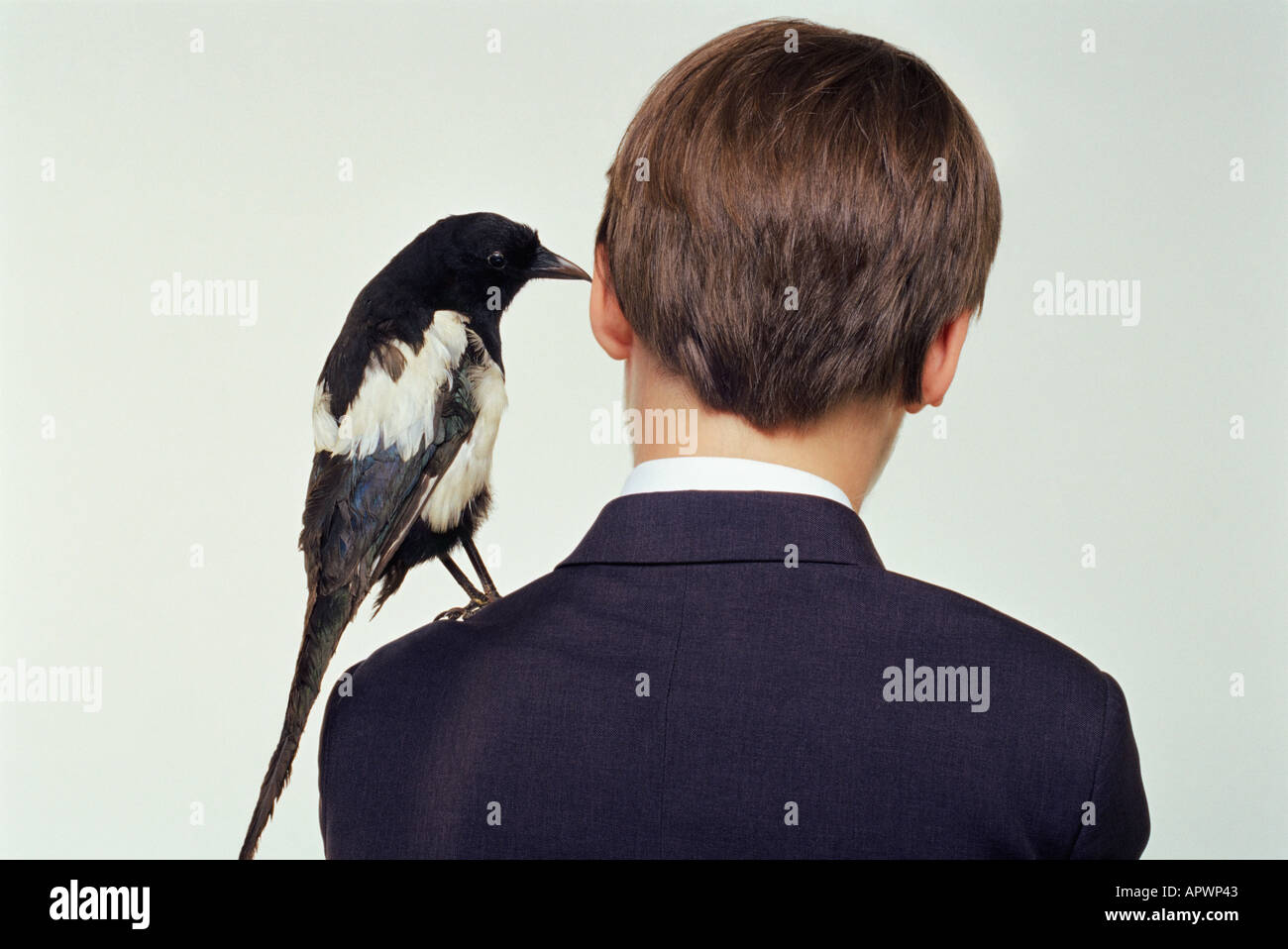 Boy with magpie on his shoulder Stock Photo - Alamy