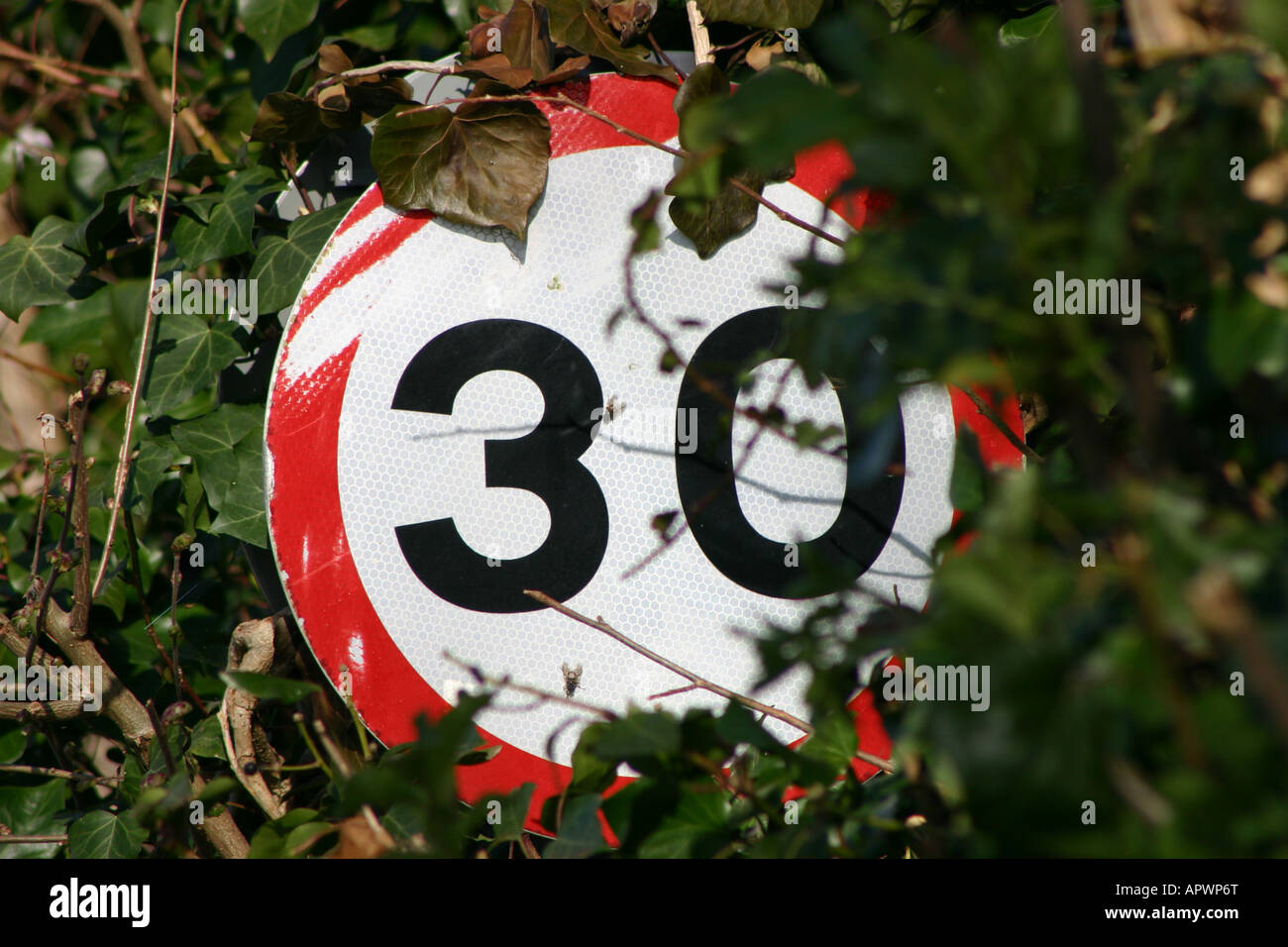 hiding hidden obscured speed road sign restriction Stock Photo - Alamy