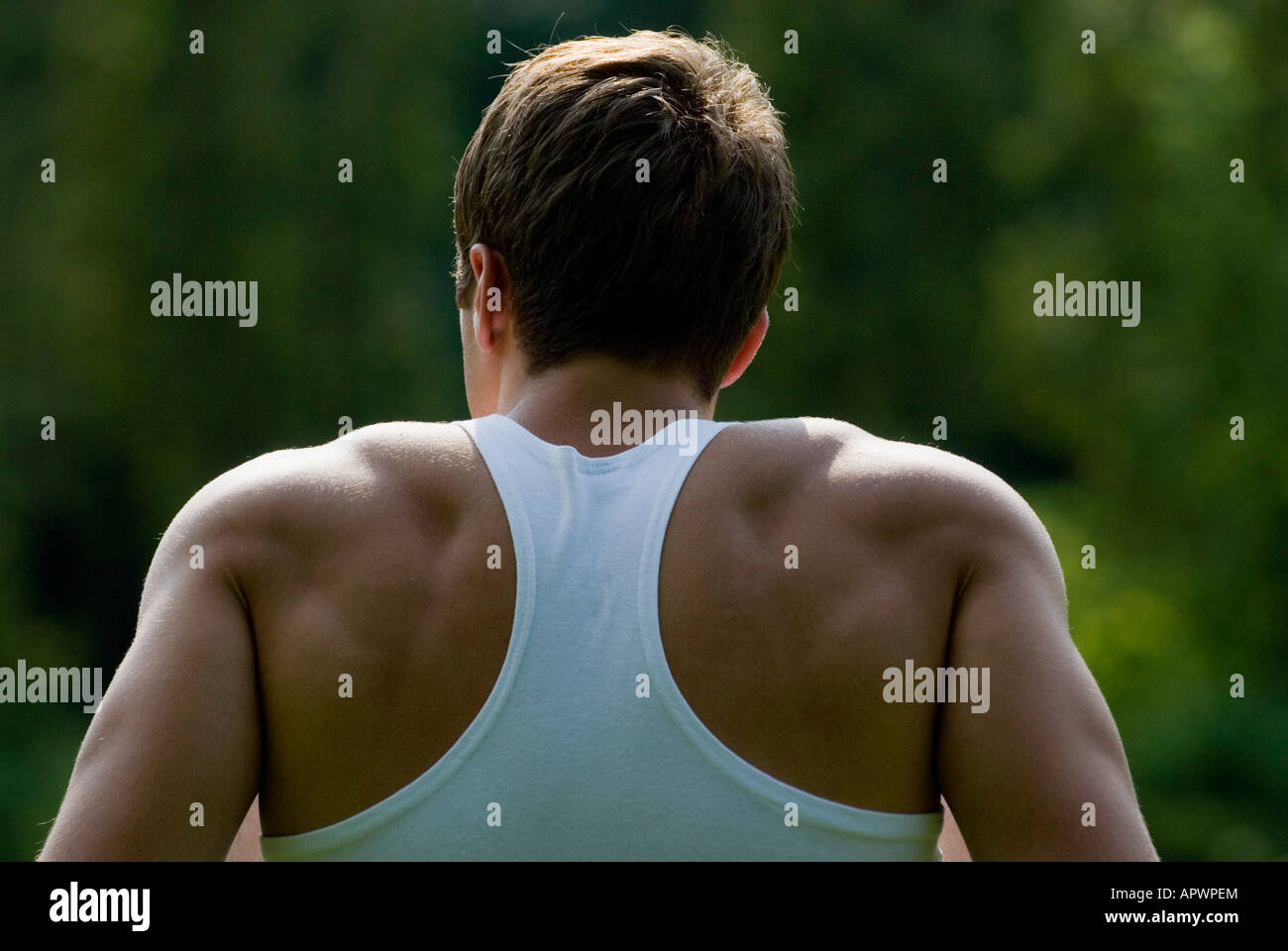 rear view of young man sitting on lawn in park Stock Photo - Alamy