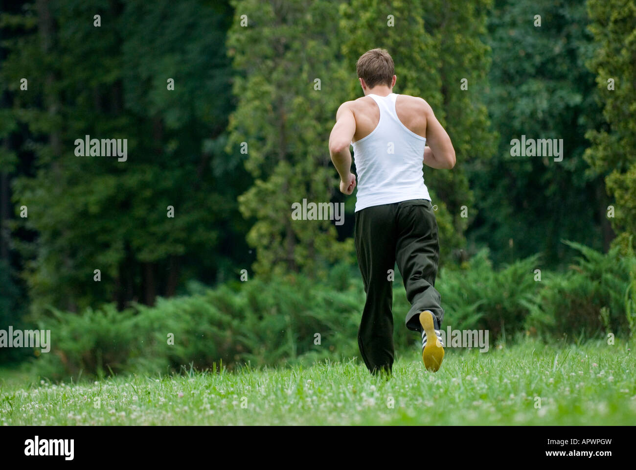 rear view of young man jogging through park Stock Photo - Alamy