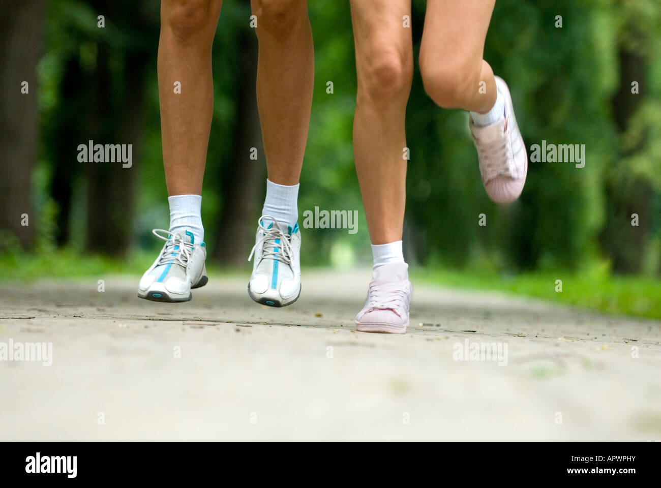 close-up of legs of two young woman jogging through park Stock Photo ...