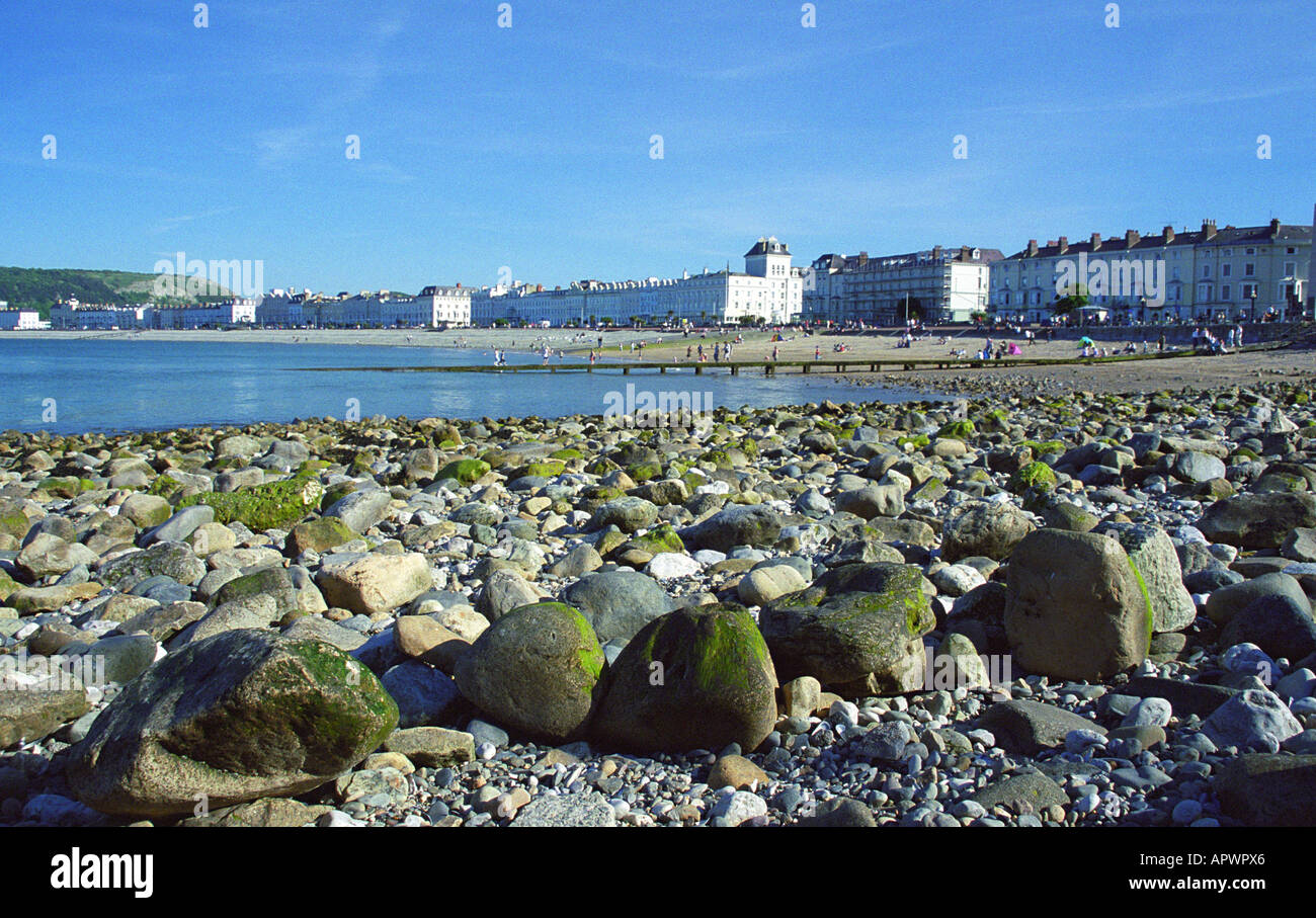 Caernarfonshire hi-res stock photography and images - Alamy