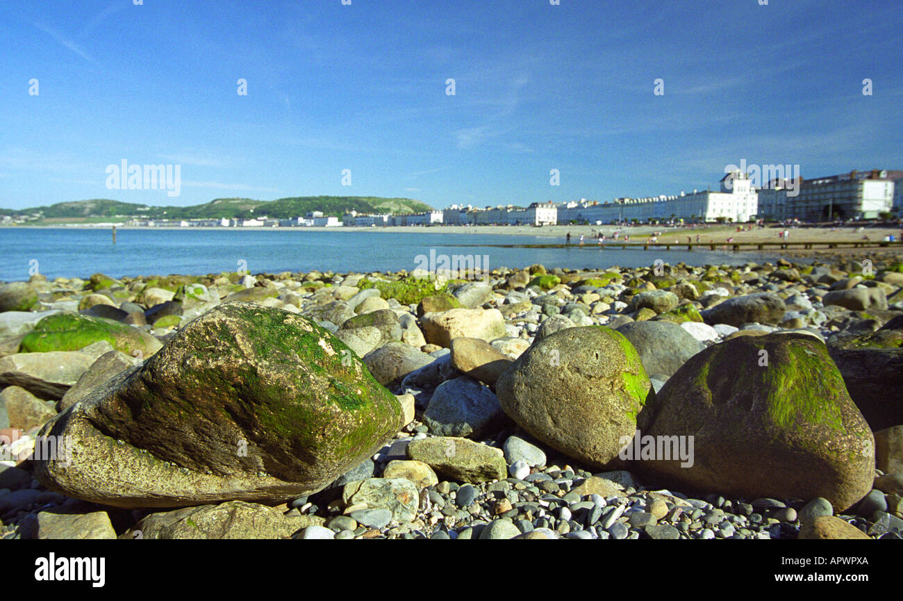 Caernarfonshire hi-res stock photography and images - Alamy