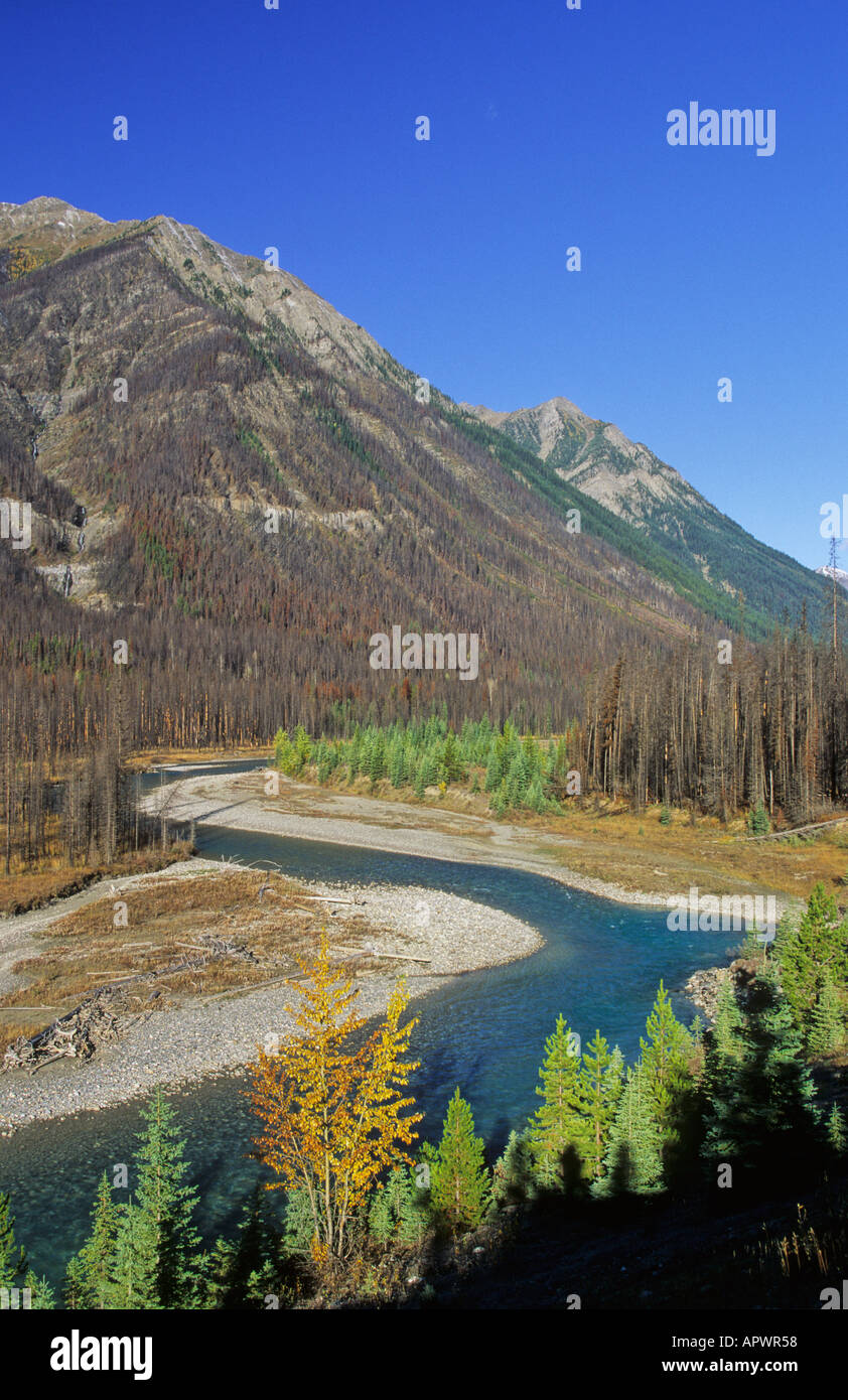 Vermilion river kootenay national park hi-res stock photography and ...
