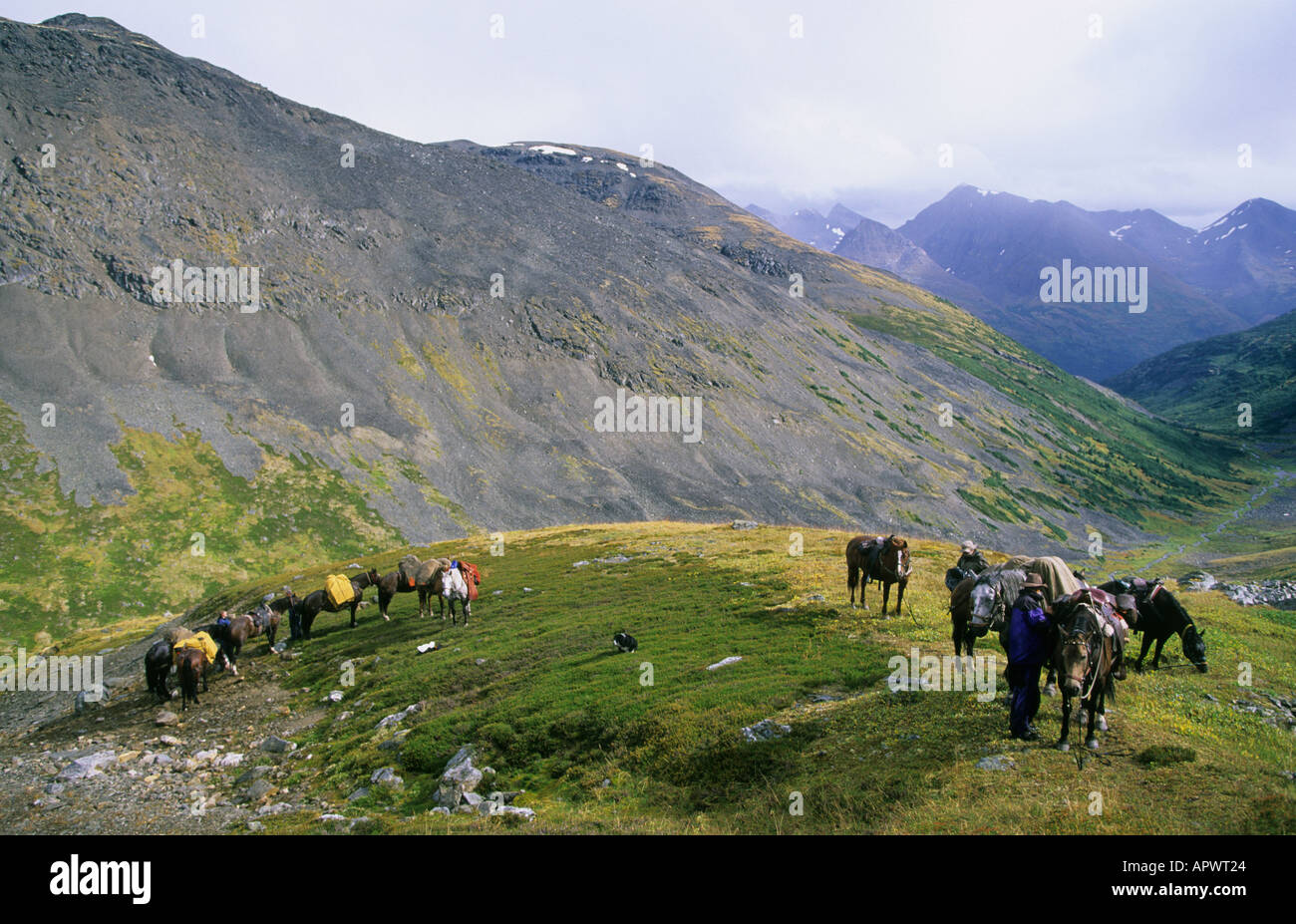 Muskwa kechika wilderness hi-res stock photography and images - Alamy