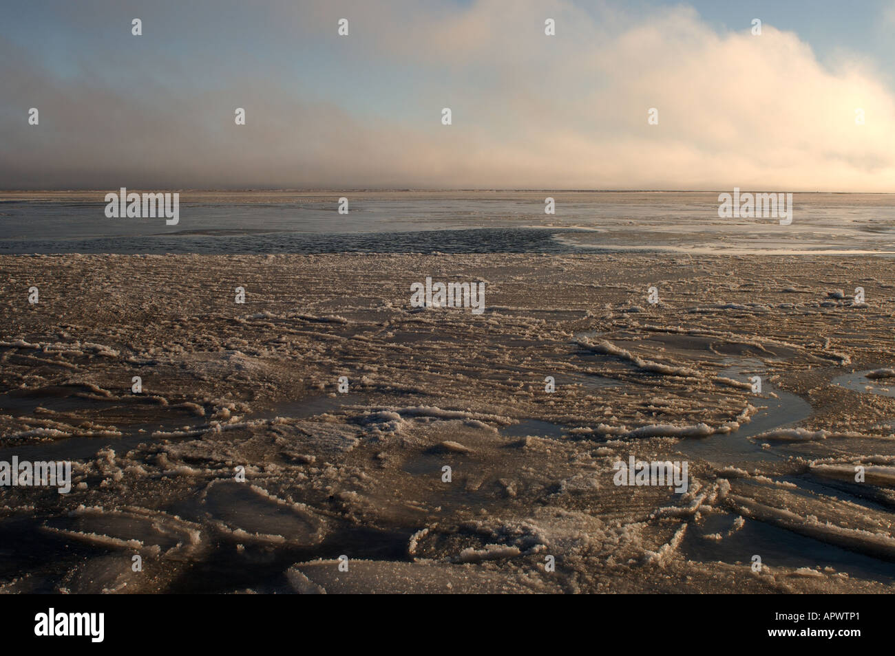 fall freeze up of the Arctic ocean off the coast of the 1002 coastal ...