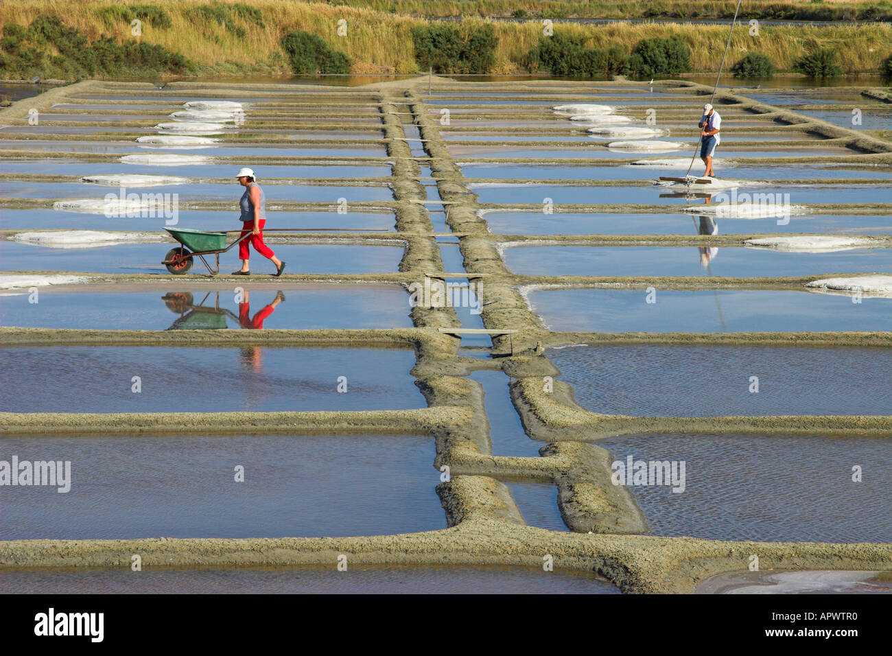 Collecting sea salt in the salt pans (Marais Salants de Guérande ...