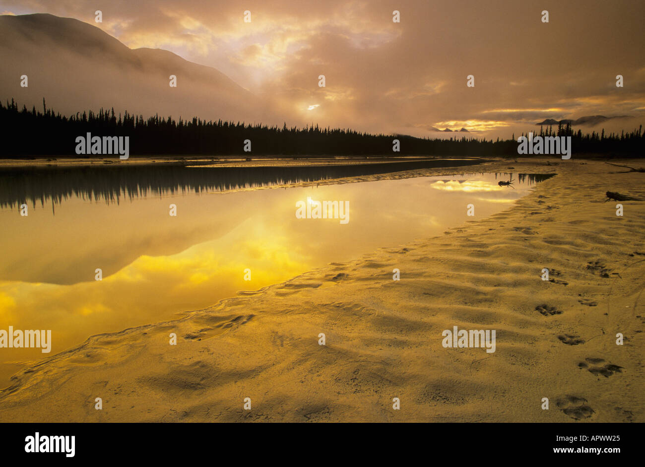 Muskwa Stock Photos & Muskwa Stock Images - Alamy