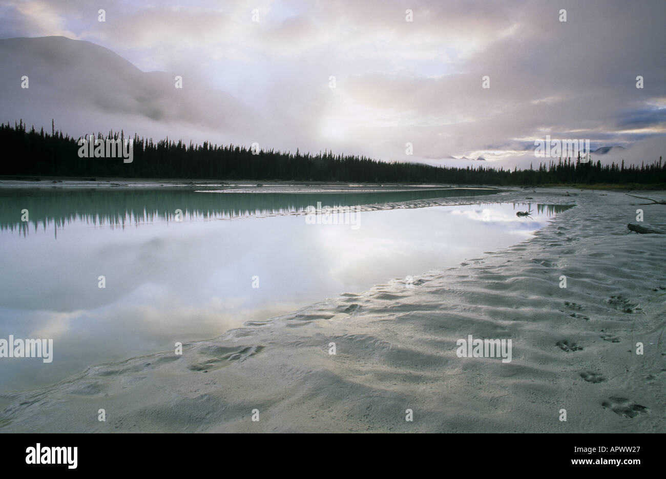 Muskwa kechika wilderness hi-res stock photography and images - Alamy
