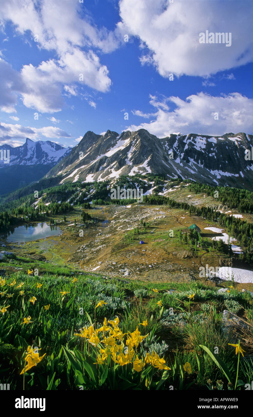 Purcell mountains at sunrise hi-res stock photography and images - Alamy