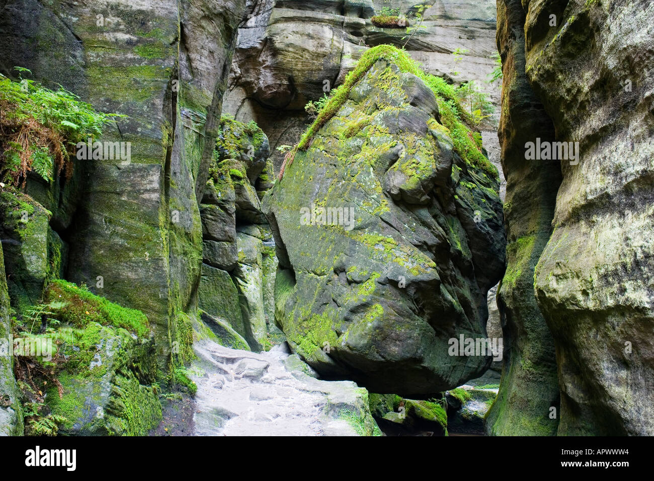Teplice Adrspach Rocks Czech Republic Teplicke Skaly Stock Photo - Alamy