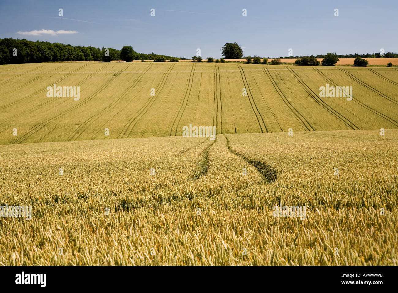 Cotswolds land hi-res stock photography and images - Alamy