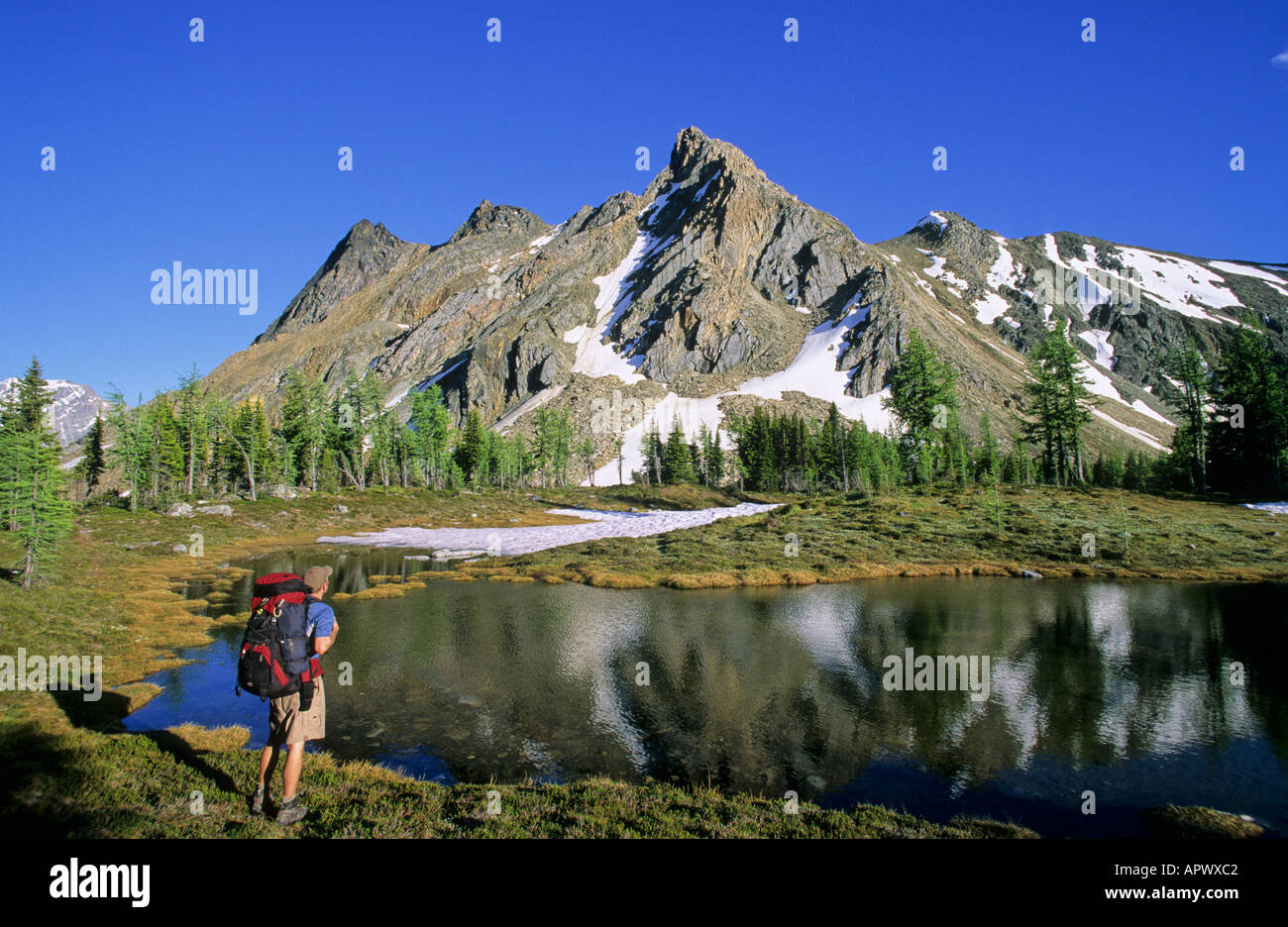 Jumbo Pass Stock Photos & Jumbo Pass Stock Images - Alamy
