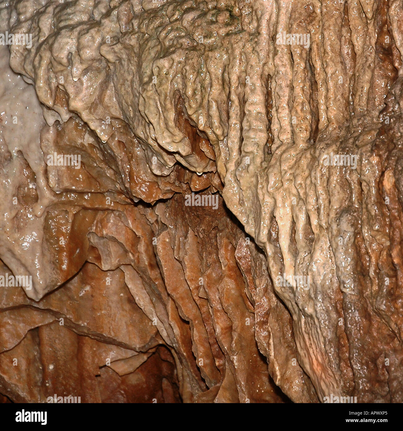 Shells cave hi-res stock photography and images - Alamy