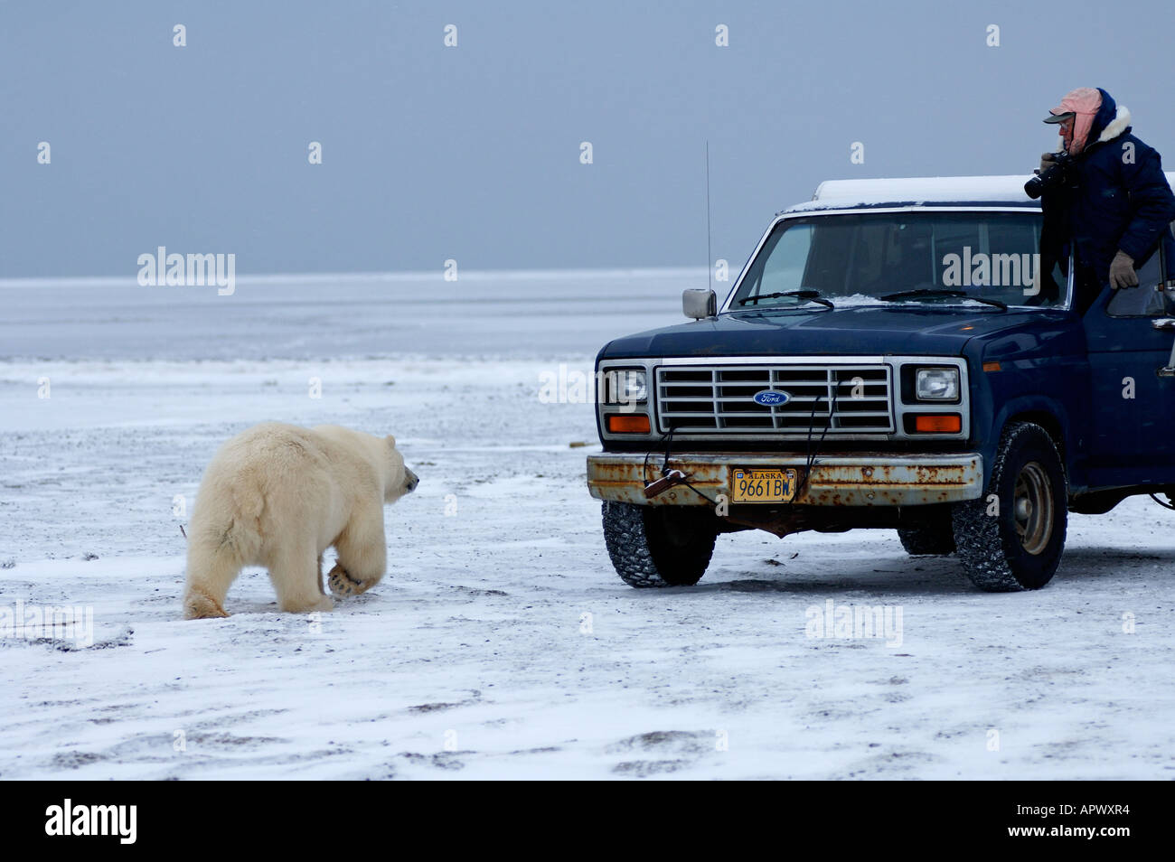 Nelson polar hi-res stock photography and images - Alamy